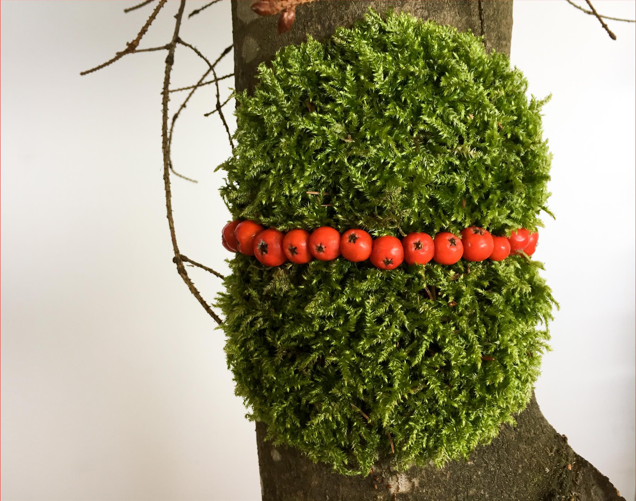 tageskurs - waldwerk 2018 · Claudia Fellmann