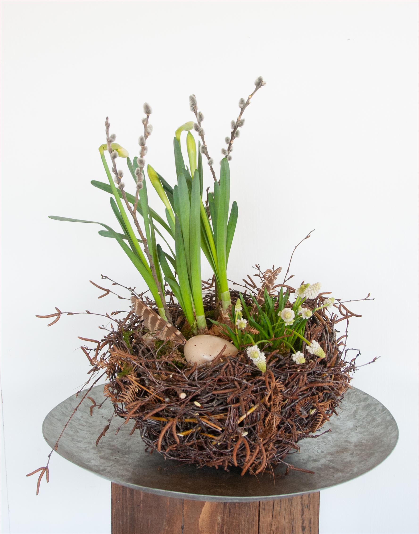 eingenistet 2019 · Claudia Fellmann